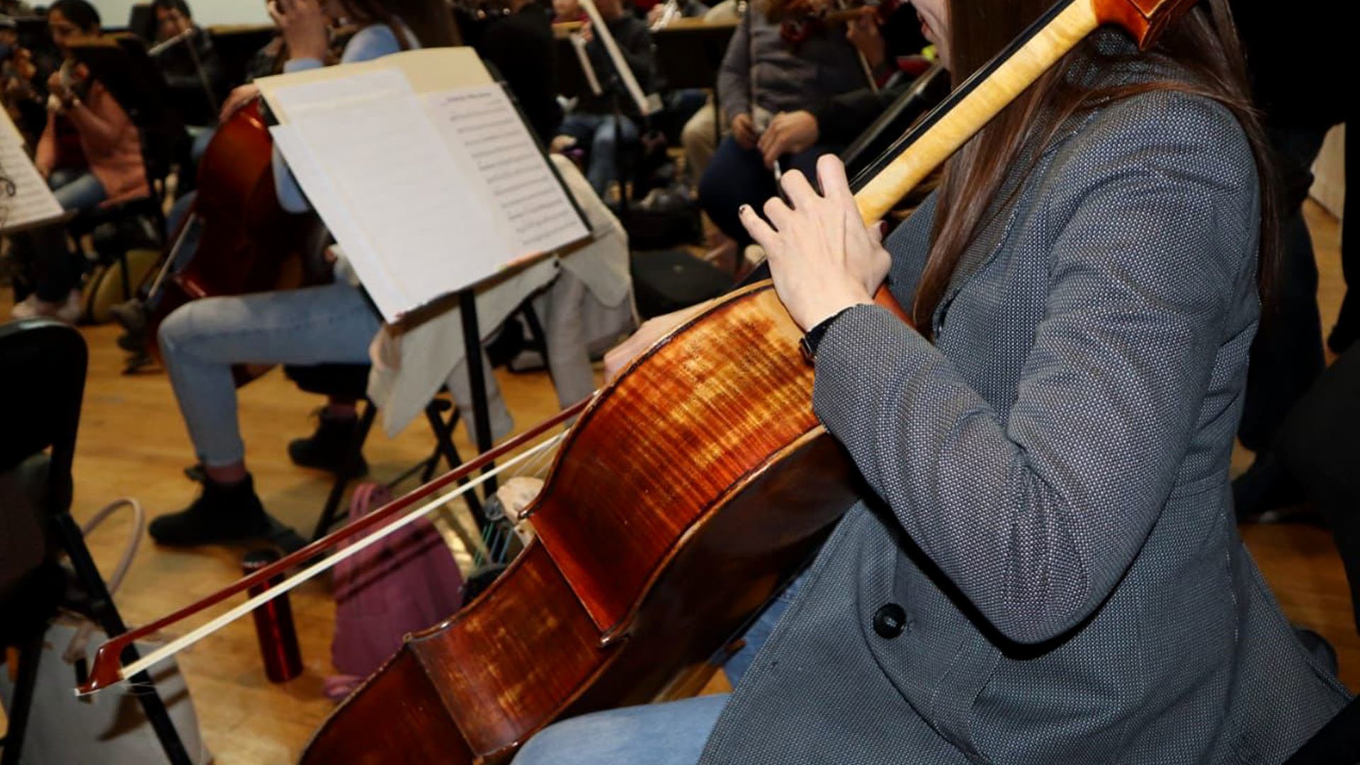 Invita la UACH al encendido del árbol navideño en la Quinta Gameros en ...