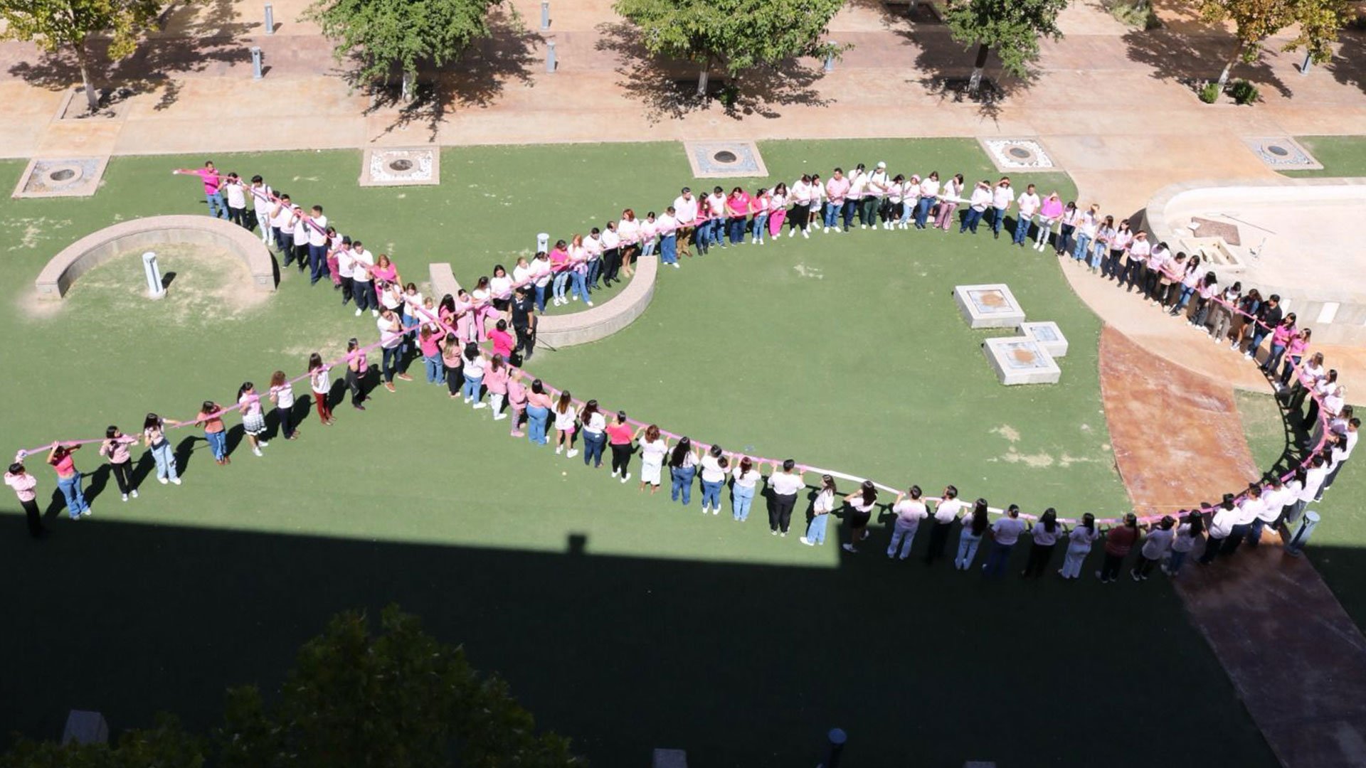 Forman estudiantes de FEN moño rosa humano para concientizar sobre el ...
