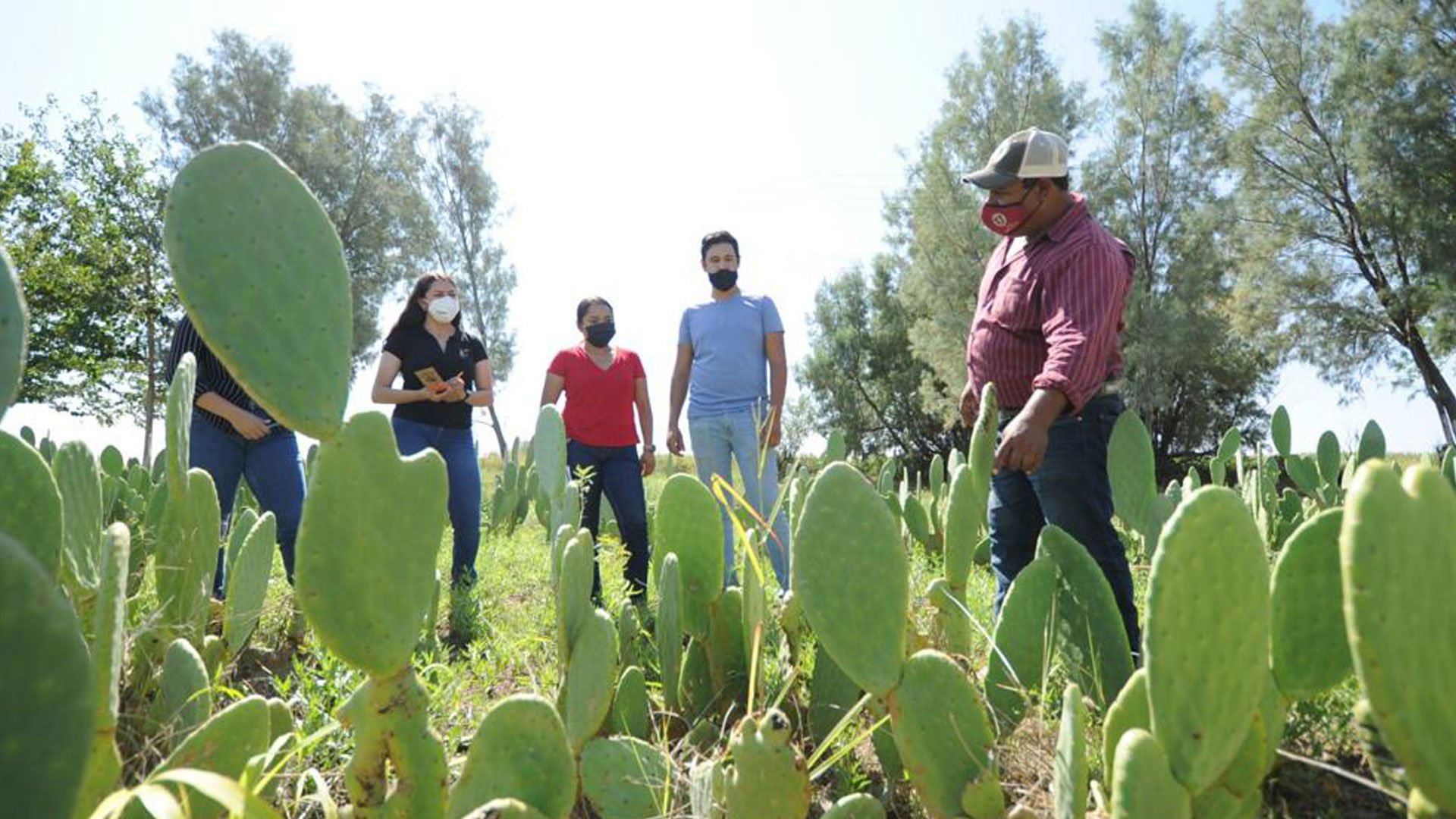 Conoce los servicios que la Facultad de Ciencias Agrícolas y Forestales ...