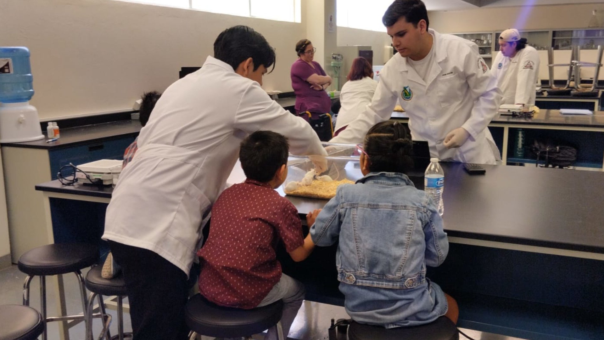 Niñas y niños del DIF visitan la Facultad de Medicina y Ciencias Biomédicas