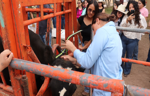 Ganadería de Precisión